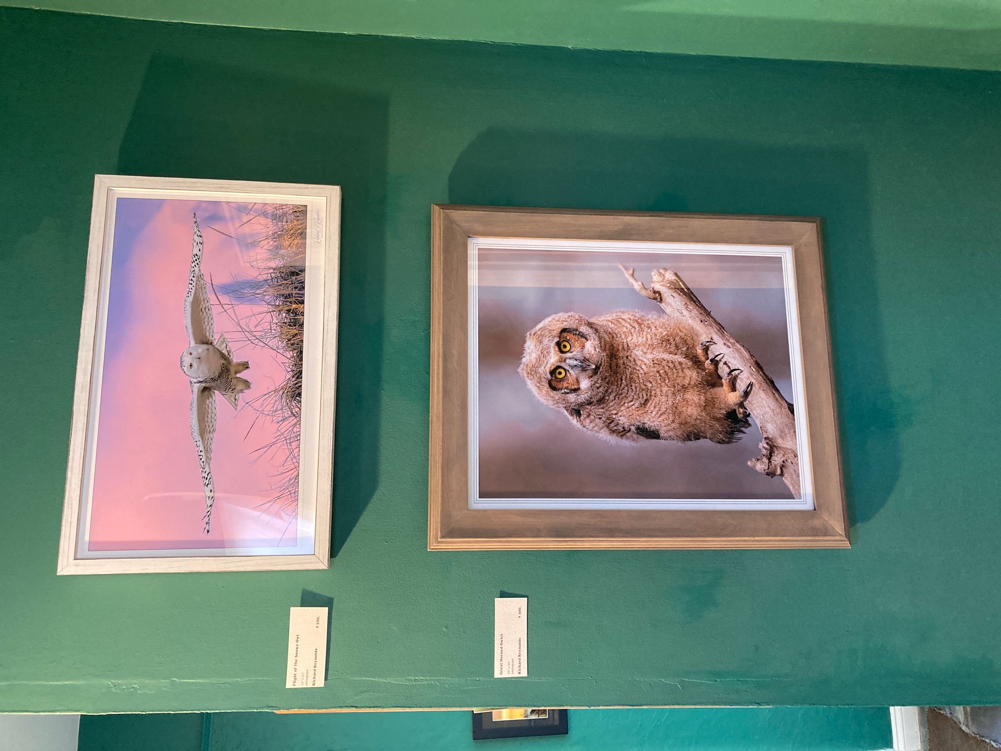 Francesca Anderson Fine Art | Portraits North