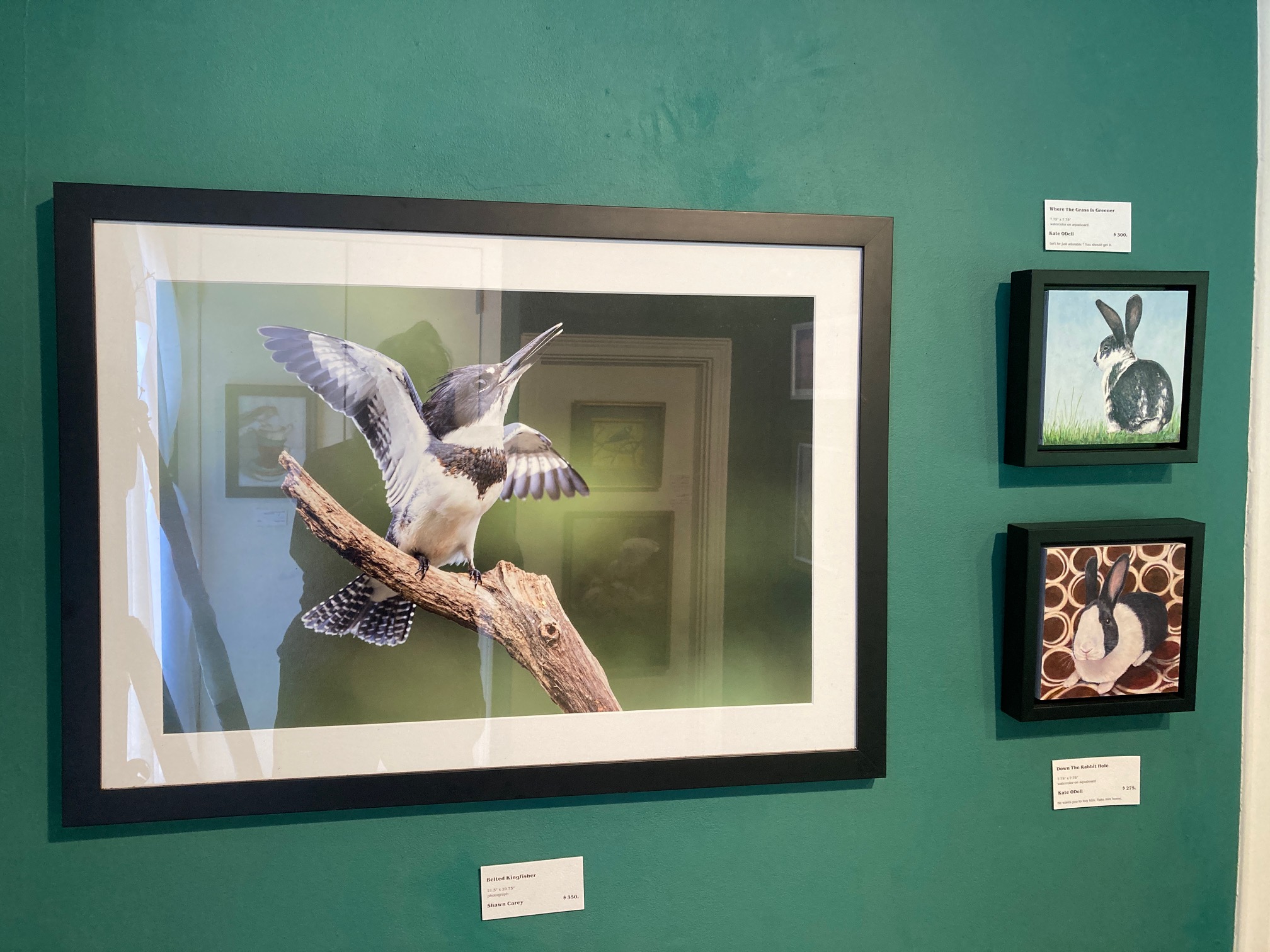 Francesca Anderson Fine Art | Portraits North