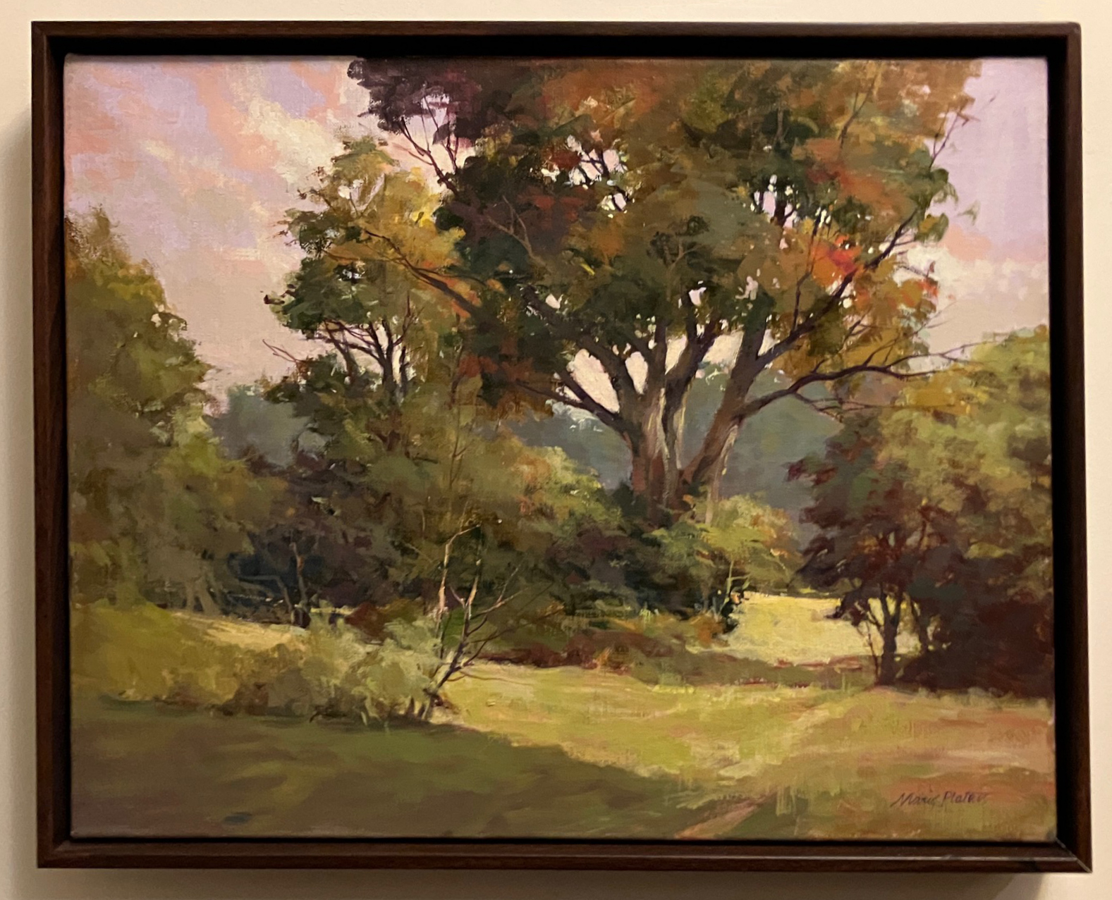 Francesca Anderson Fine Art | Portraits North